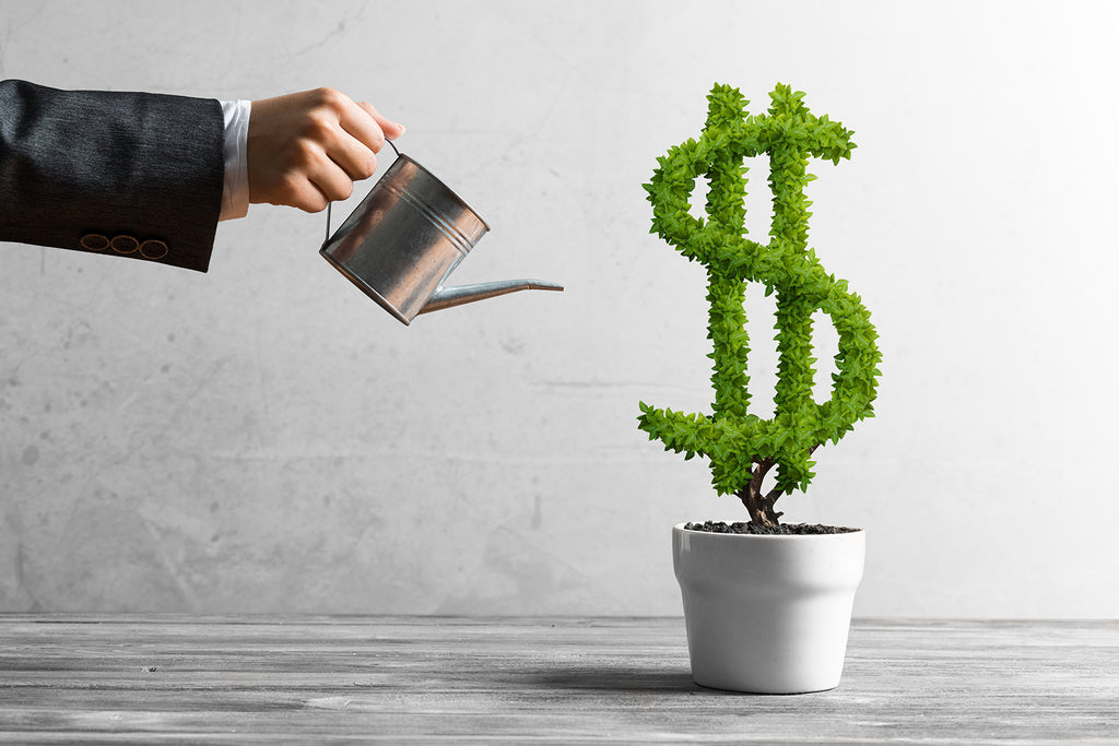 What Is Income Investing? Our Complete Guide – Acre Gold Now